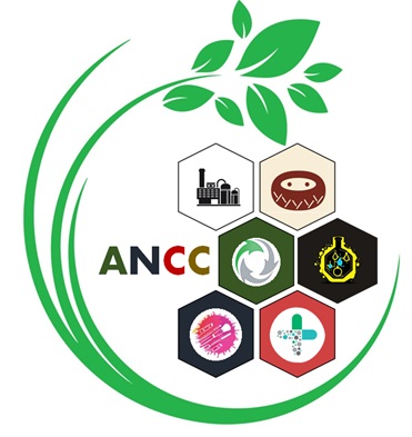 Home - A&N Chemical Corporation